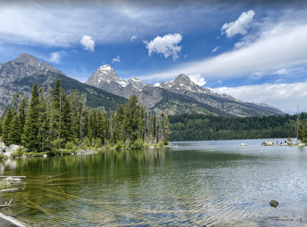 Doing Life vs. Living It - Observe & Rapport